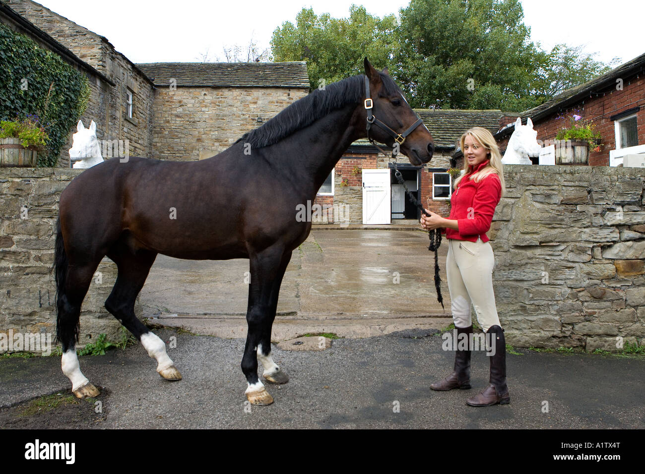 Ellen Whitaker showjumper and equestrian rider Stock Photo - Alamy