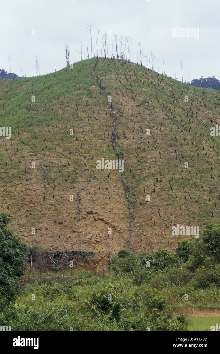 Deforestation hi-res stock photography and images - Alamy