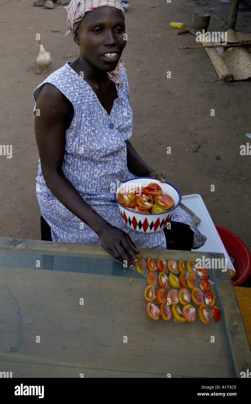 Solar dryer hi-res stock photography and images - Alamy