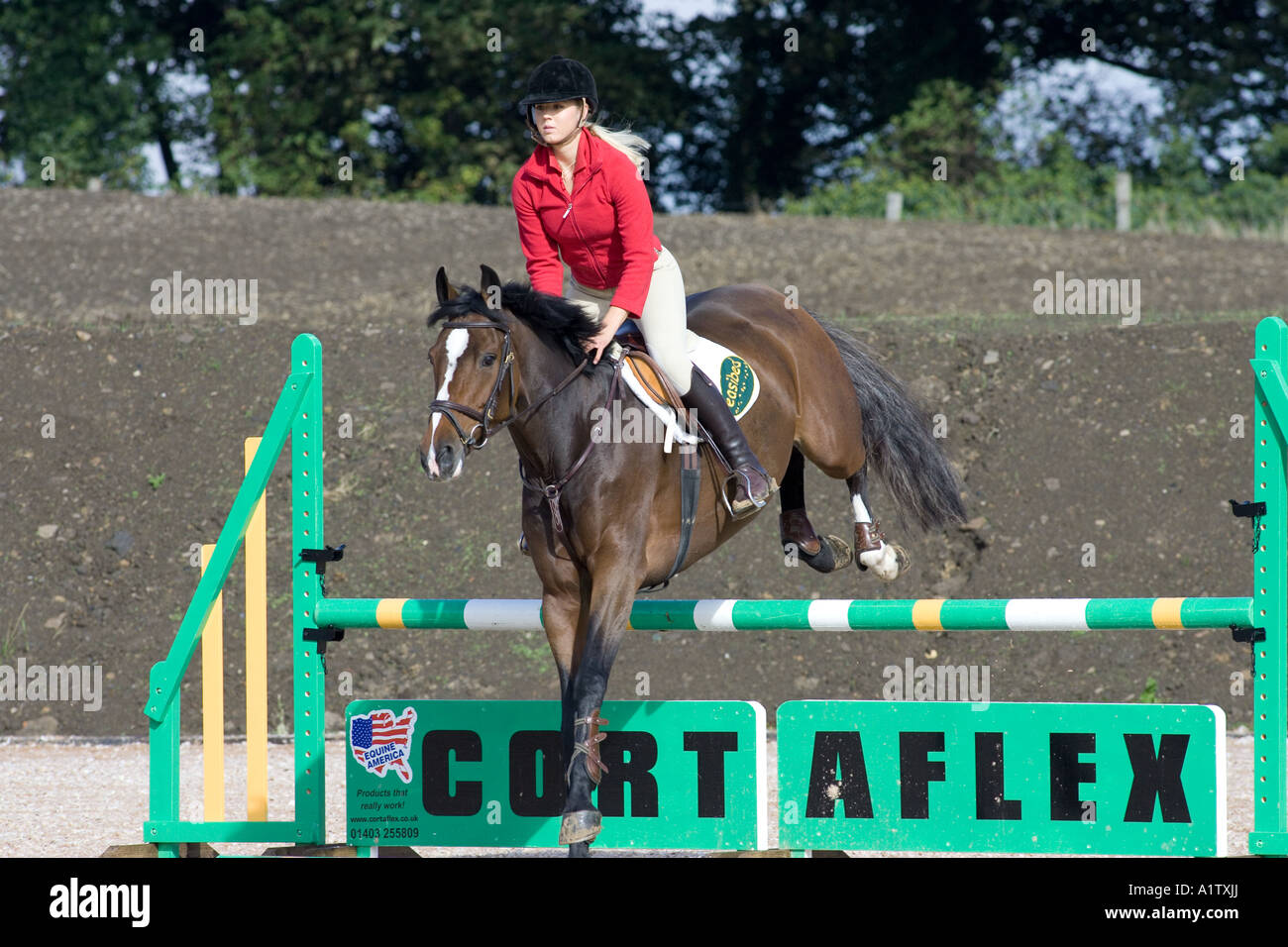 Ellen whitaker showjumper equestrian rider hi-res stock photography and ...
