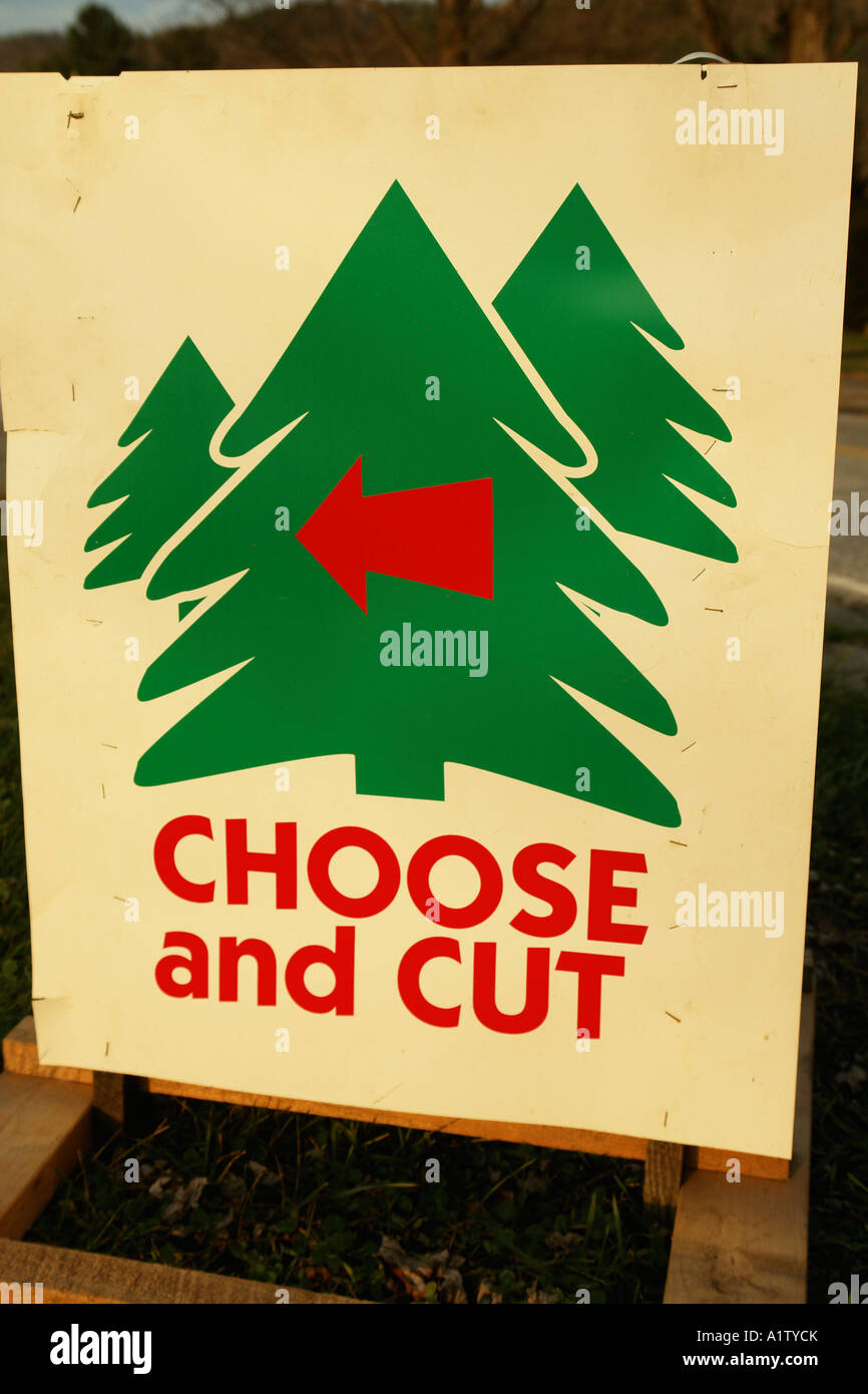 AJD55316, Bethel, VT, Vermont, Choose and Cut Christmas Trees sign ...