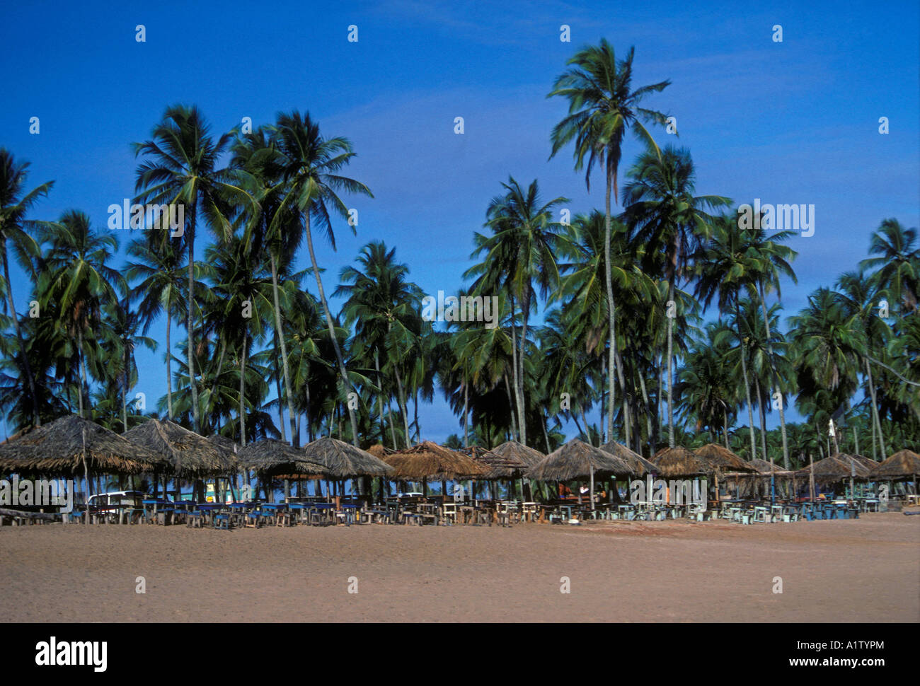 Piata Beach Salvador da Bahia Bahia State Brazil South America Stock ...