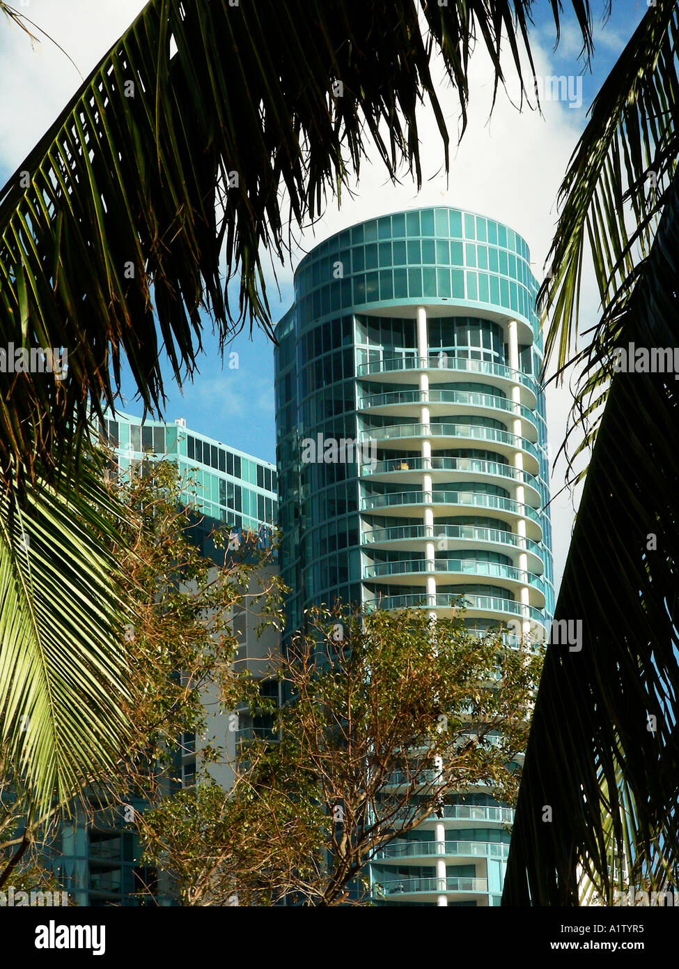 High rise buildings in Fort lauderdale, Florida USA Stock Photo - Alamy