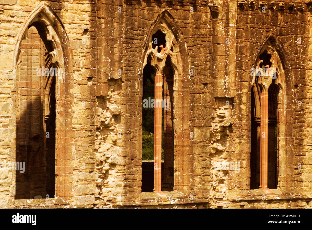 Historic abbey windows hi-res stock photography and images - Alamy