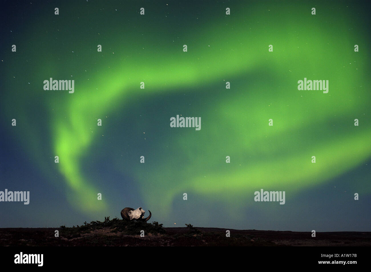Aurora Borealis Northern Lights over rocket launcher near Churchill ...
