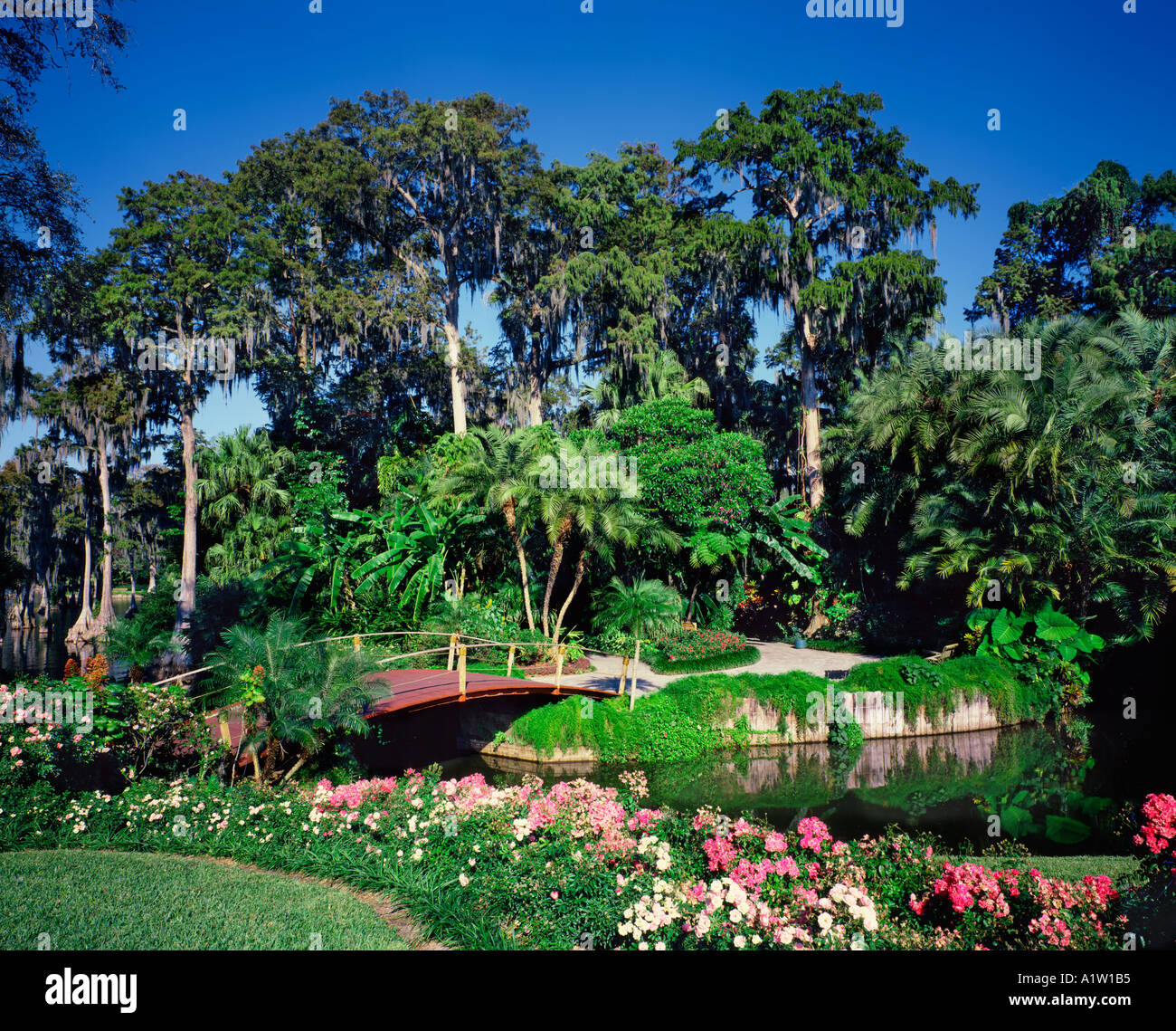 Florida cypress gardens hi-res stock photography and images - Alamy
