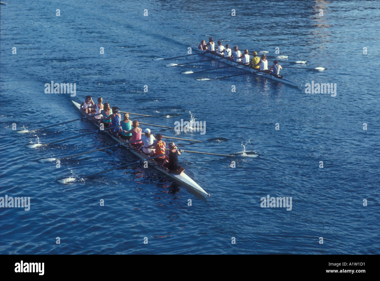 College athletes hi-res stock photography and images - Alamy