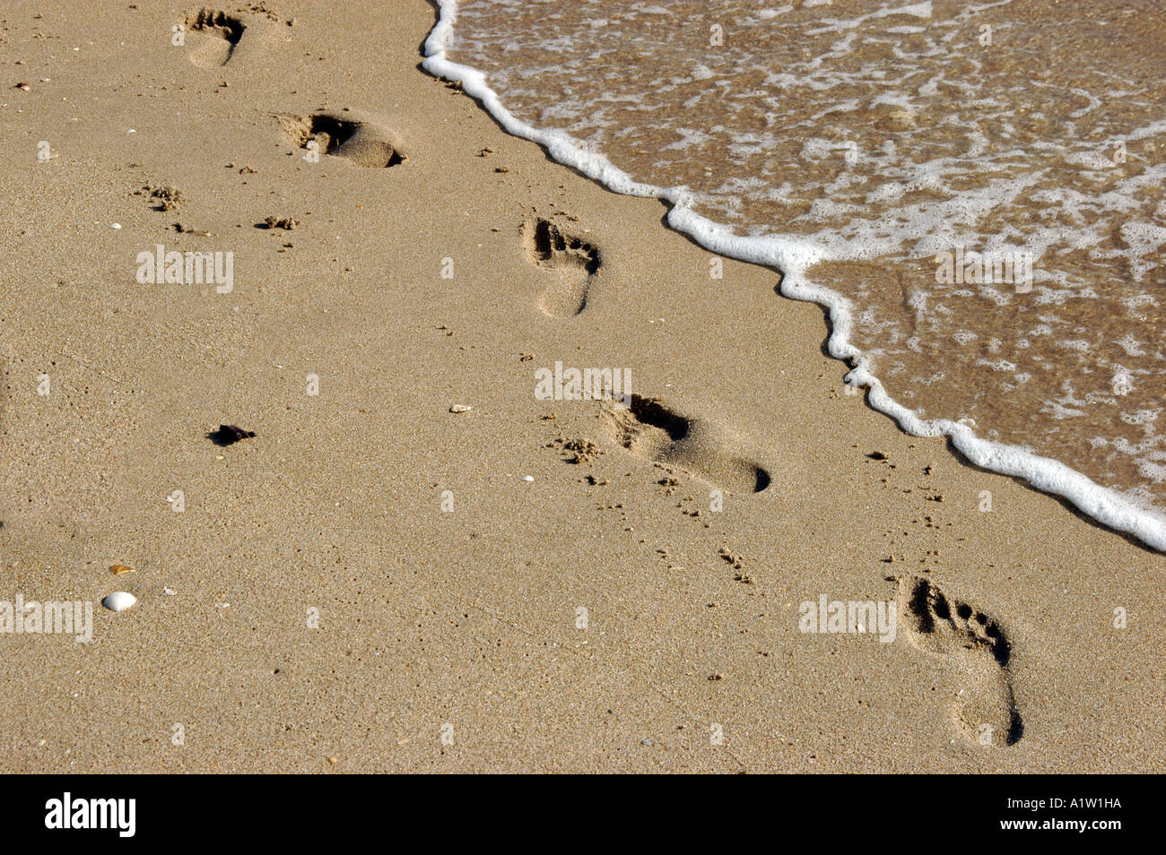 Footprints in the sand Stock Photo - Alamy