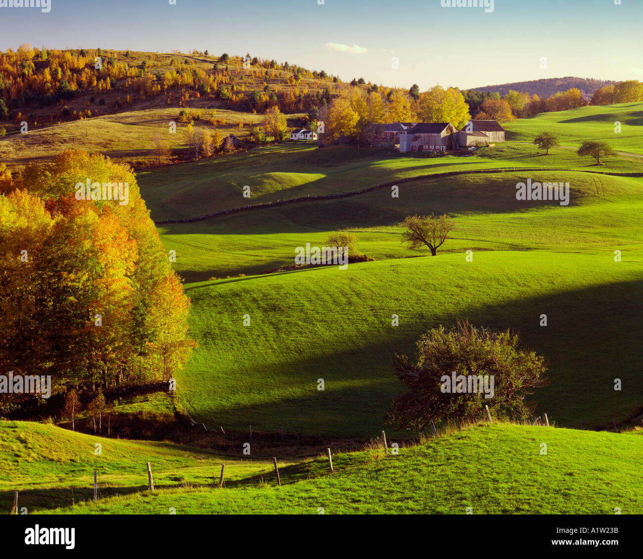 Barnet hi-res stock photography and images - Alamy