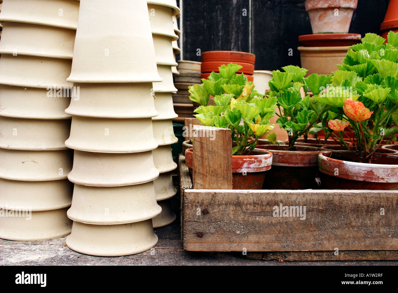 Stacked flower pots Stock Photo - Alamy