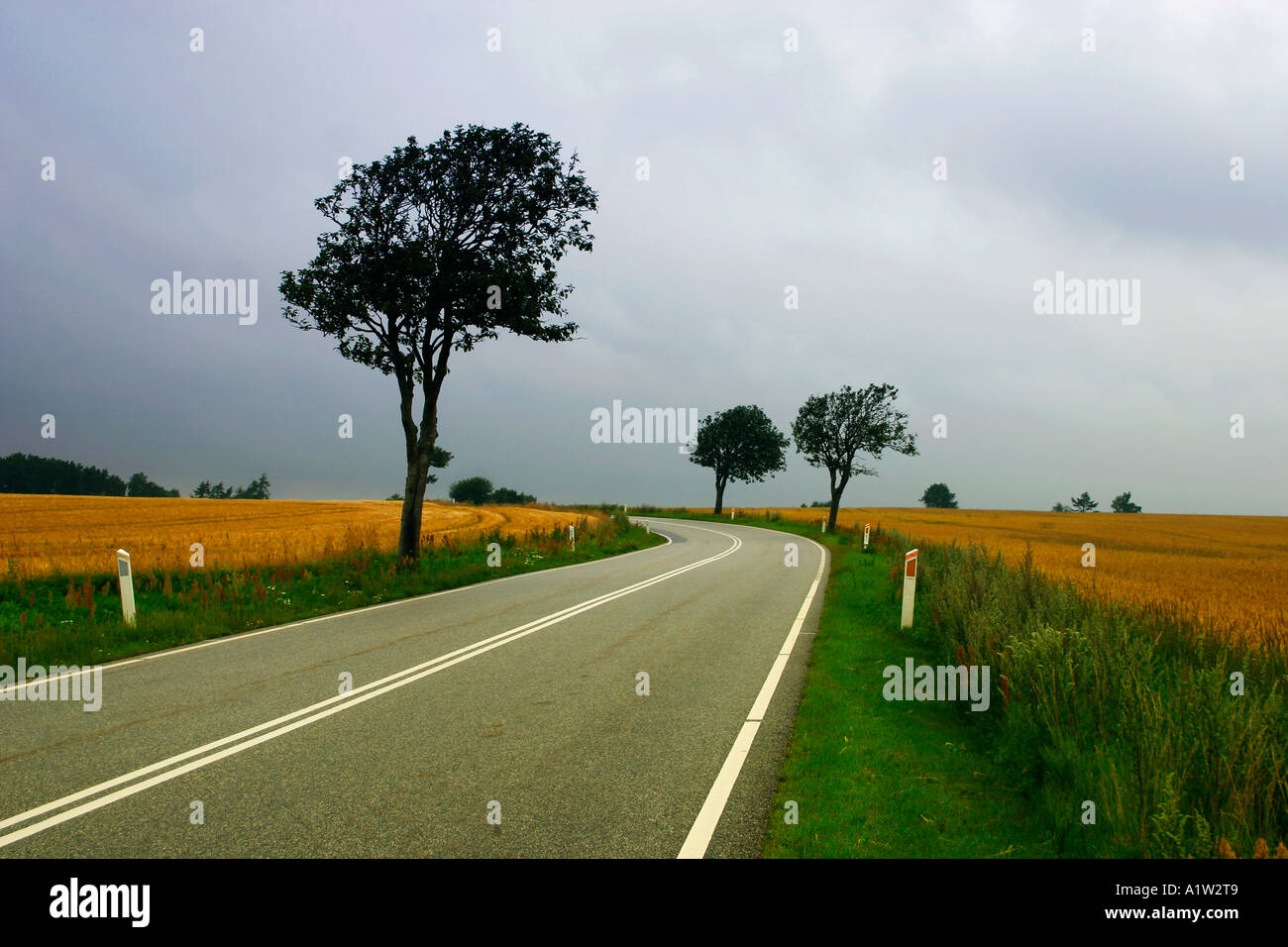 Rural road in Denmark Stock Photo - Alamy