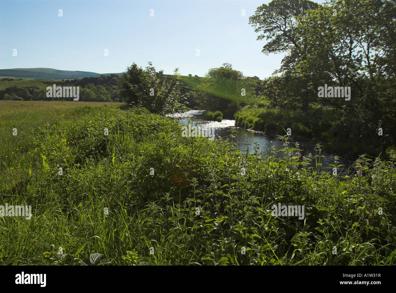 Ehen hi-res stock photography and images - Alamy