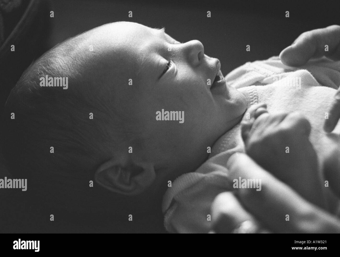 Profile of a newborn baby boy Stock Photo - Alamy