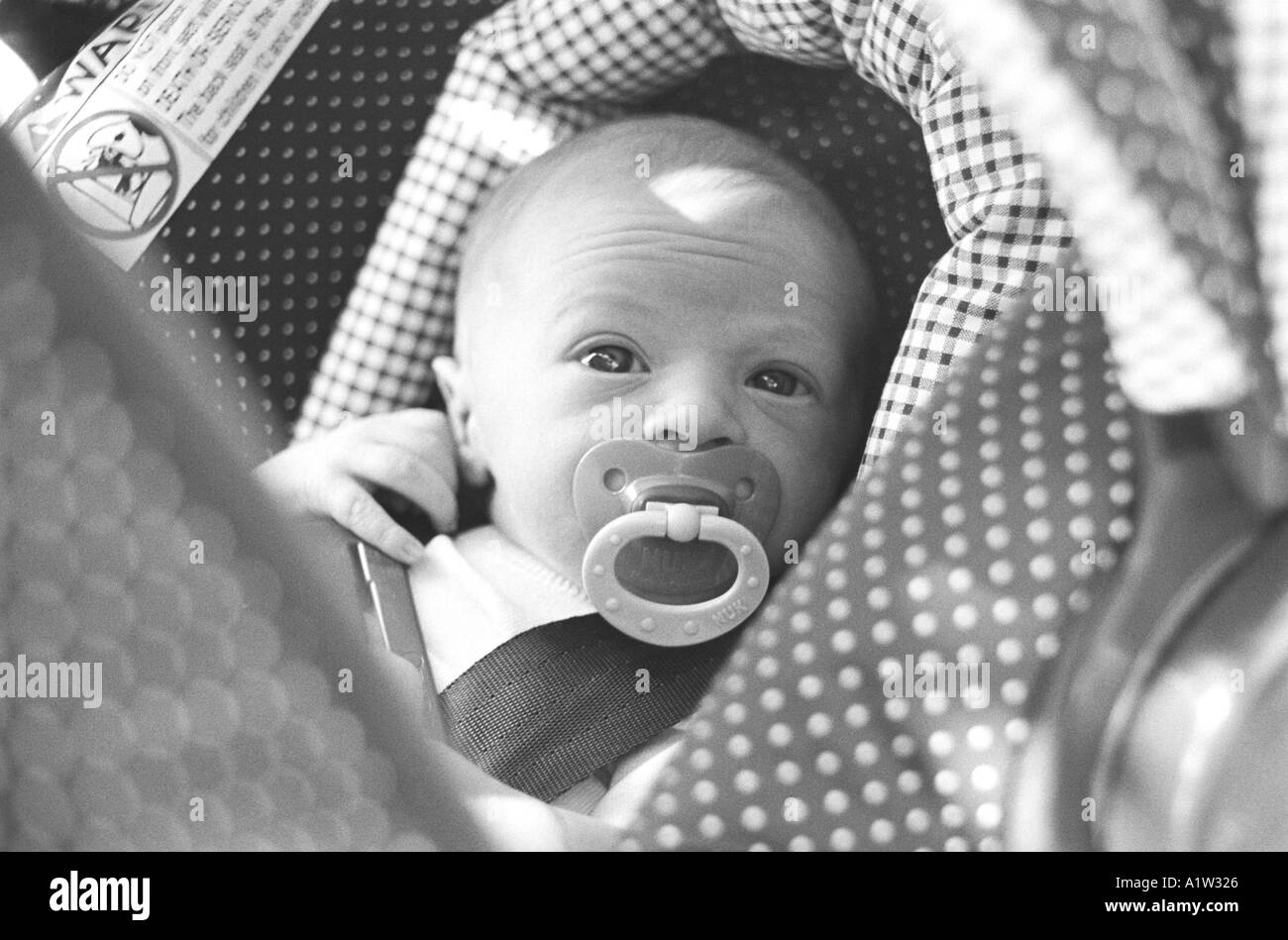 Newborn baby boy in stroller with pacifier in his mouth Stock Photo - Alamy