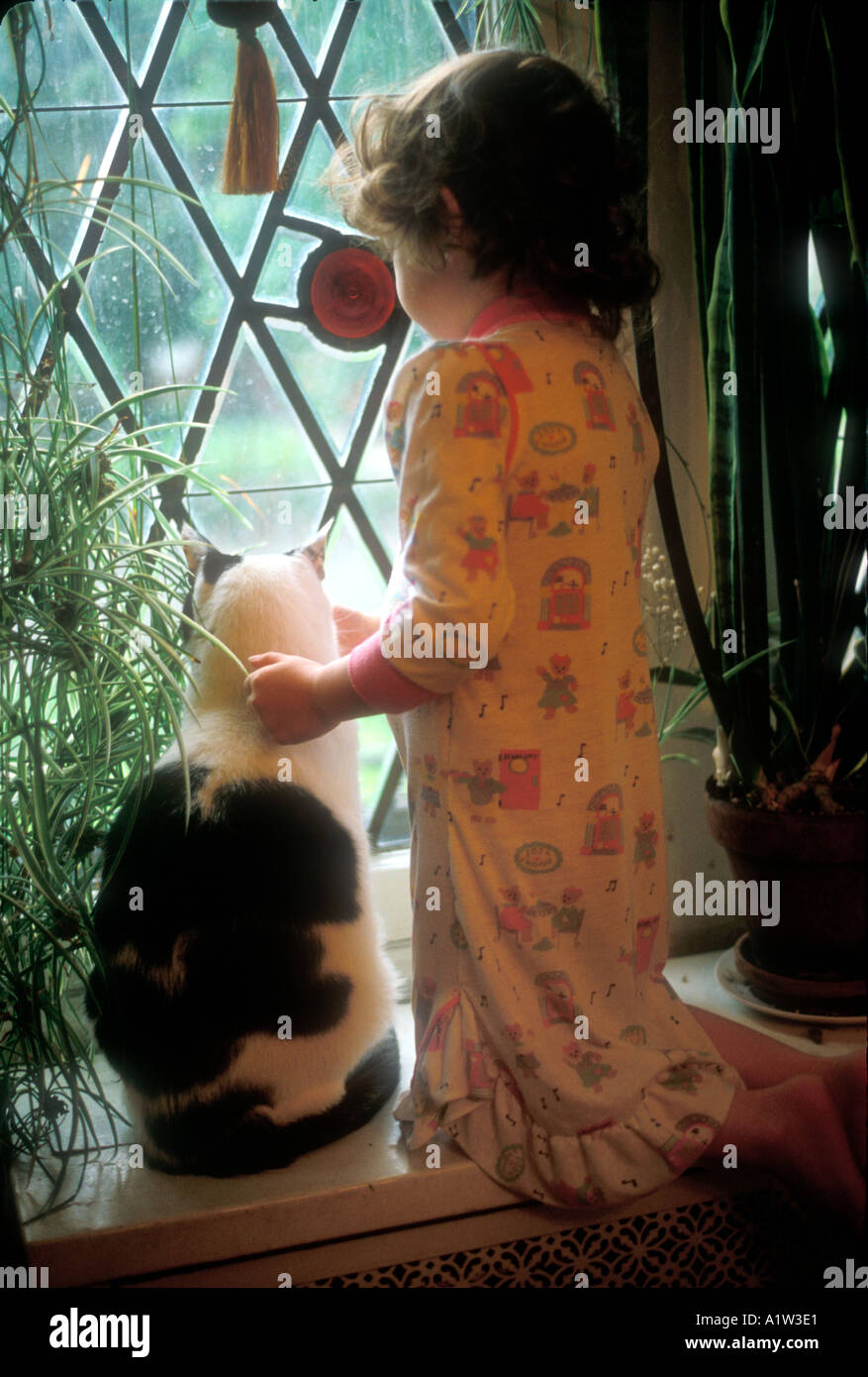 Detroit Michigan Mariel West 4 looking out the window with her cat Beni ...