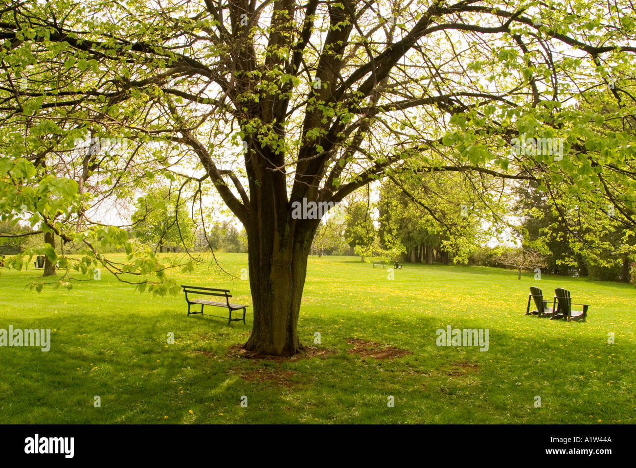Shelburne vermont farms hi-res stock photography and images - Alamy