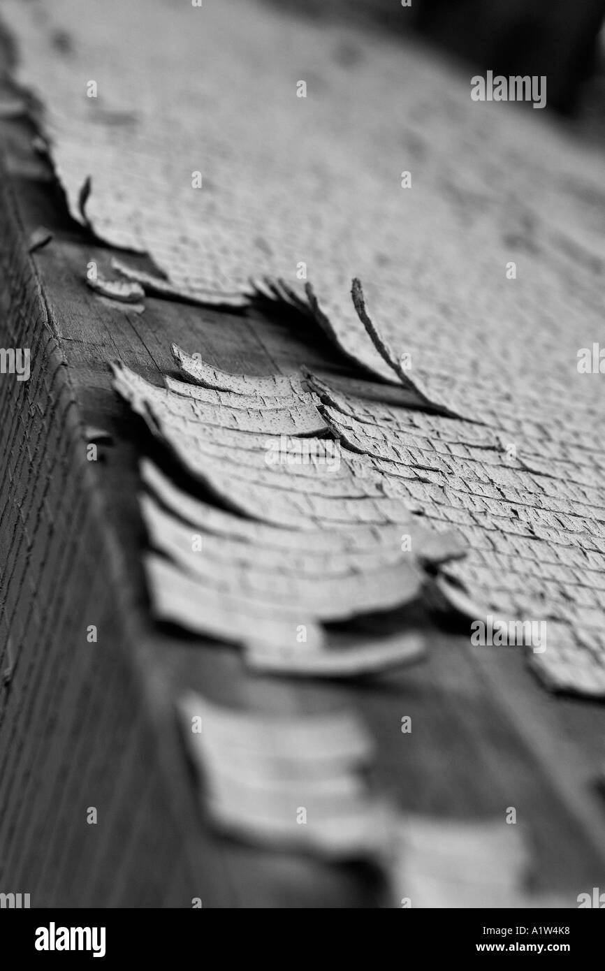 Paint chips coming off of a door frame in a piano key-like fashion ...