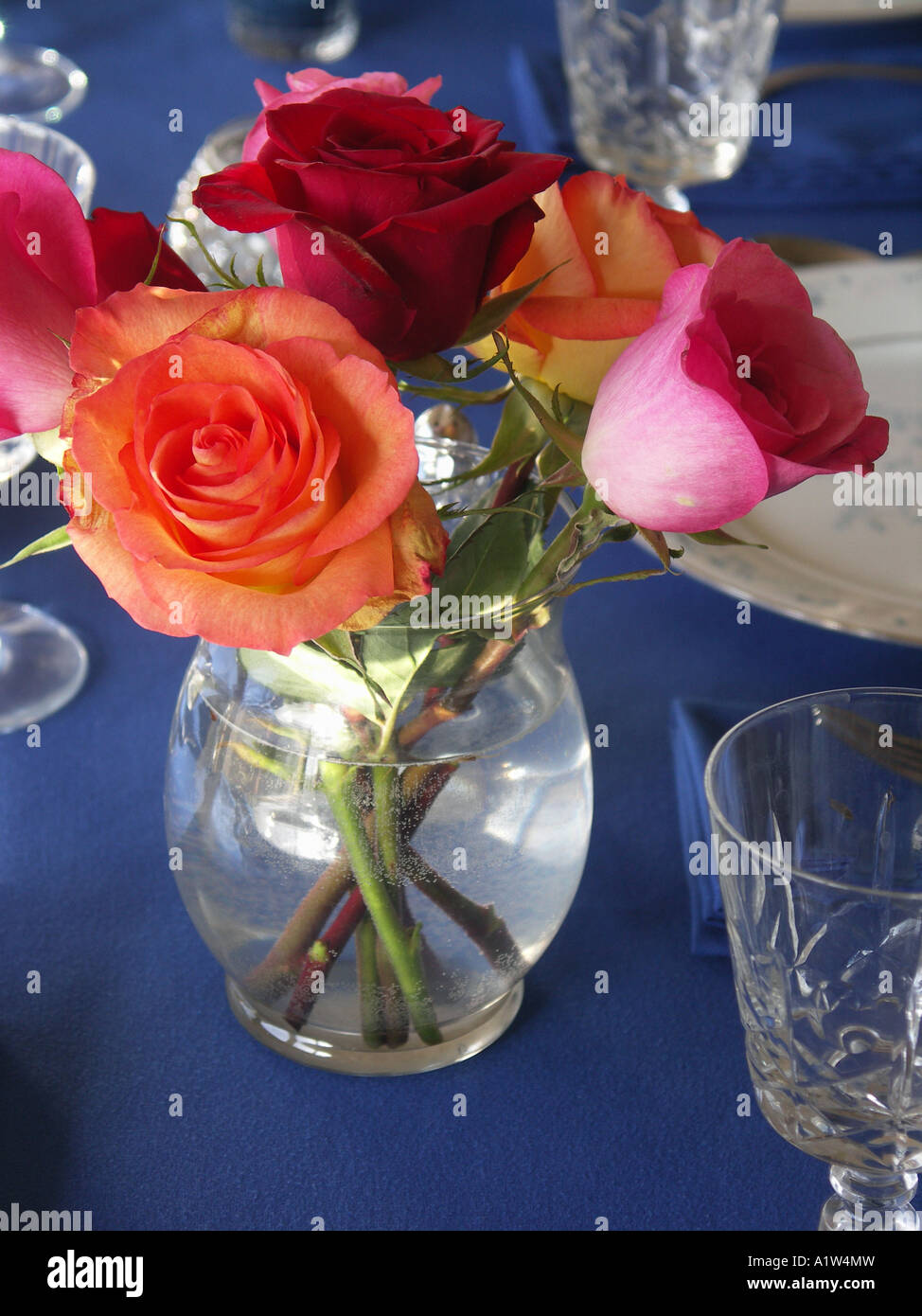 Roses on Dinner Table Stock Photo - Alamy