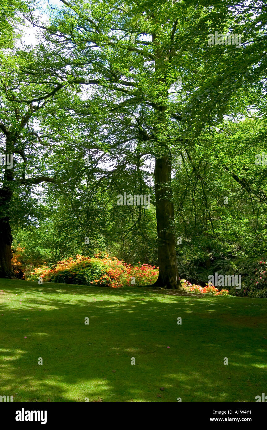 Tatton Hall gardens Cheshire UK Stock Photo - Alamy