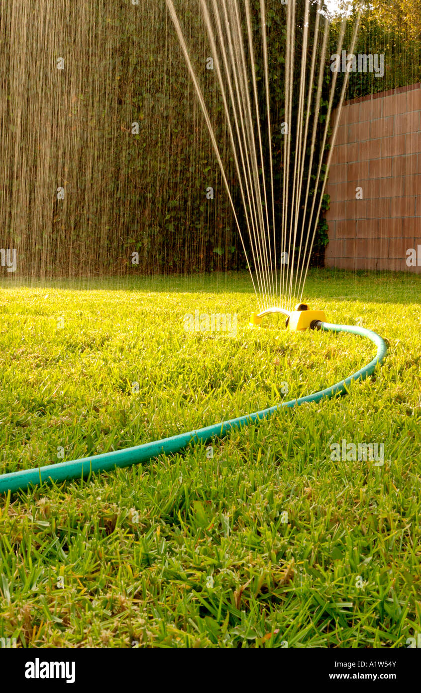 Oscillating lawn sprinkler in backyard Stock Photo - Alamy
