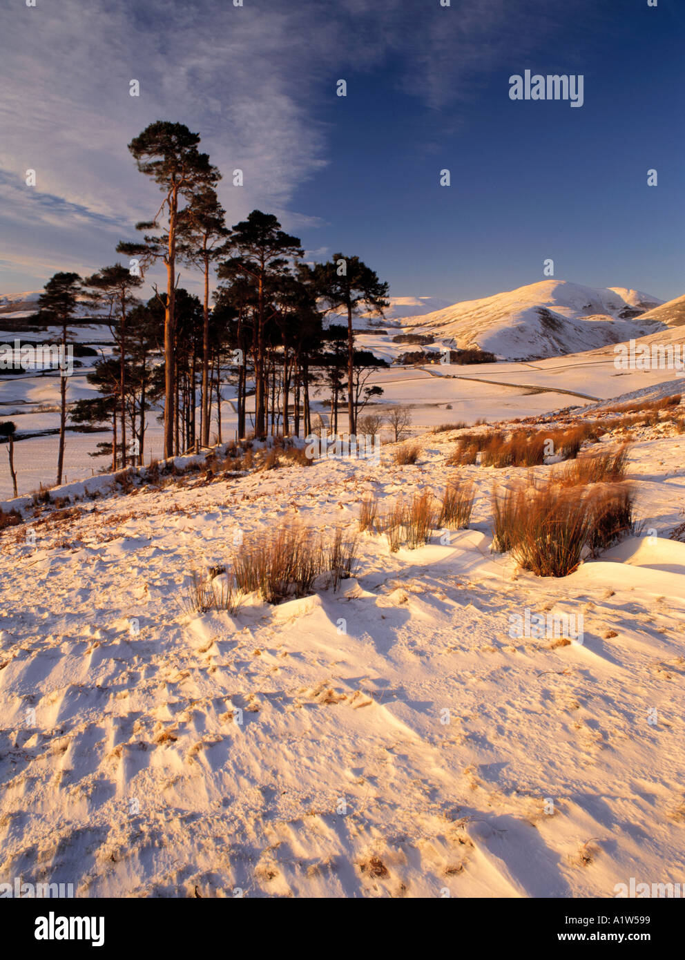 Scenic winter landscape drifting snow on the lowther Hills looking down ...