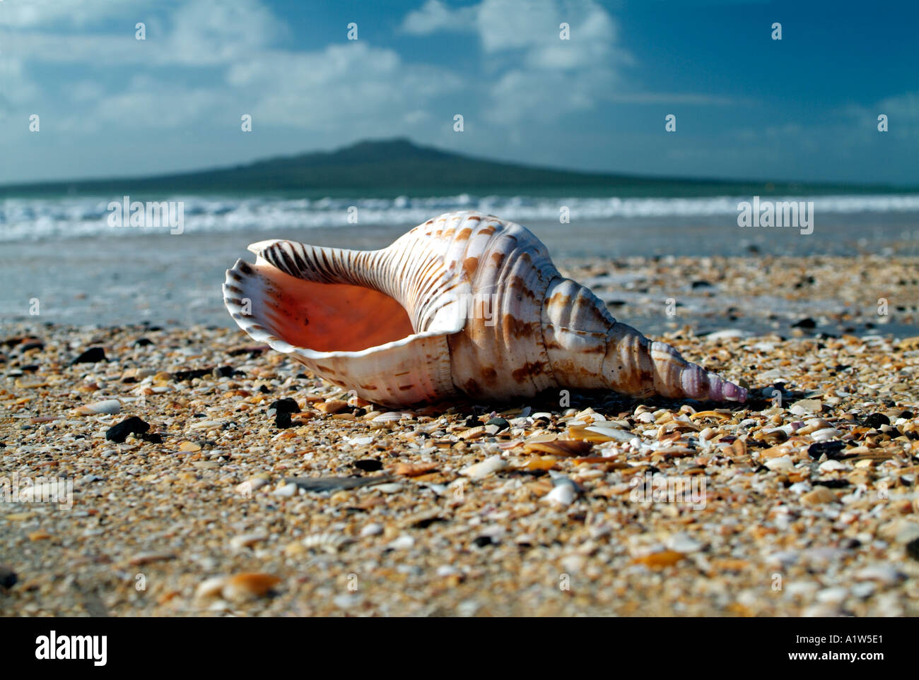 Takapuna on the beach hi-res stock photography and images - Alamy