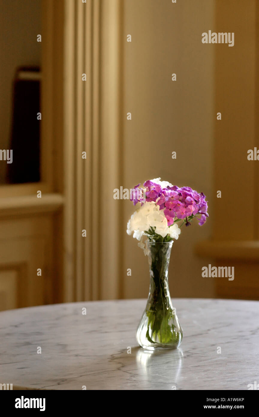 Mystic flower hi-res stock photography and images - Alamy