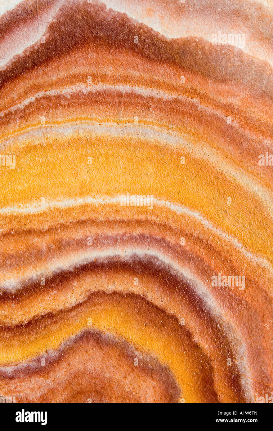 Brilliant color in metamorphic sandstone Utah USA Stock Photo - Alamy