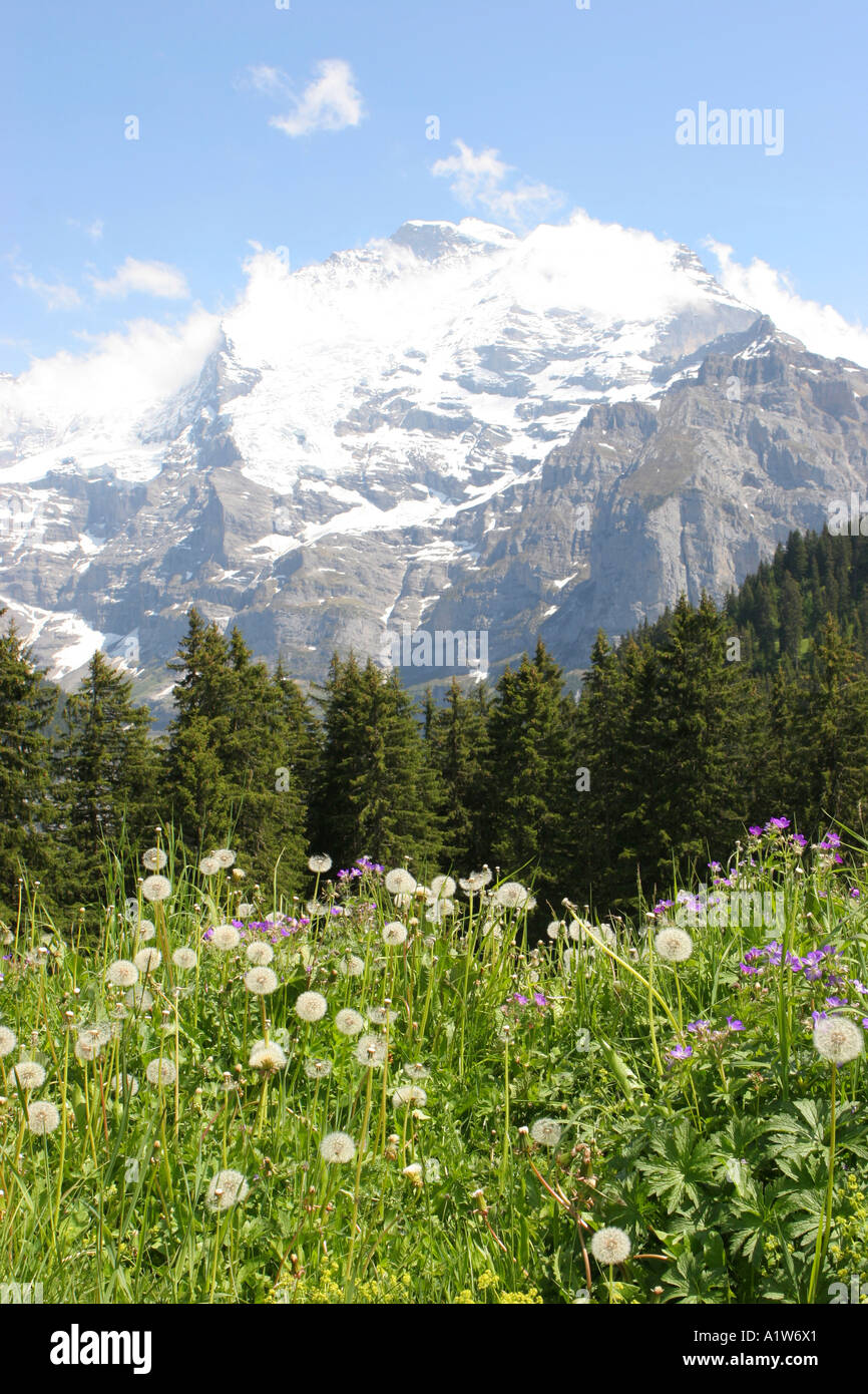 Swiss walking territory hi-res stock photography and images - Alamy