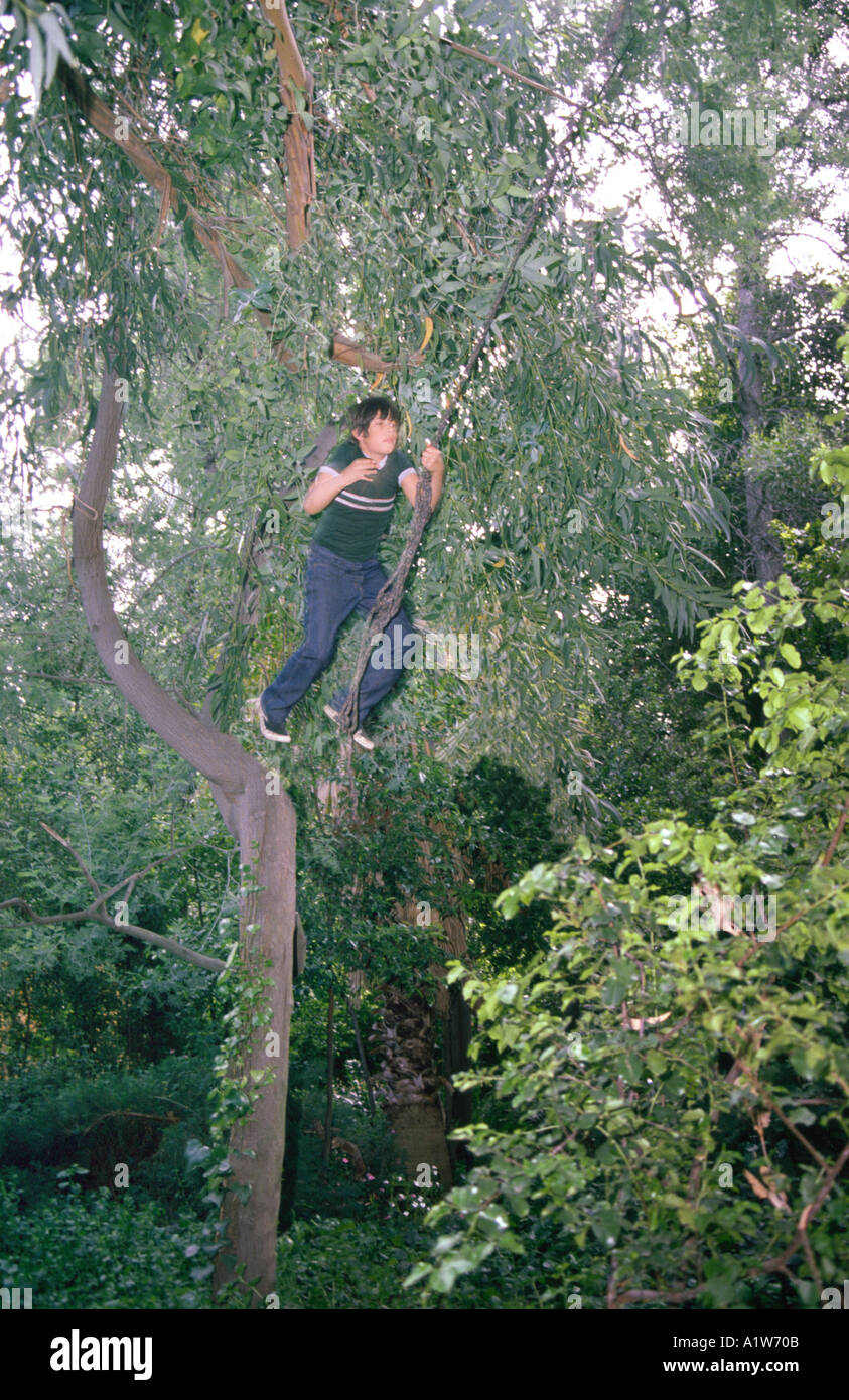 Young boy nine years old swinging from rope in garden setting Stock ...
