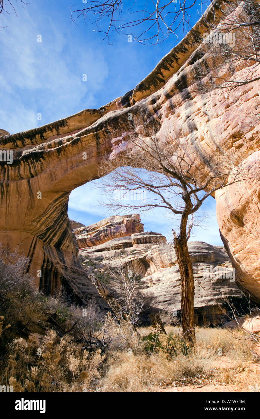 Sipapu Bridge arch Natural Bridges National Monument Utah Stock Photo ...