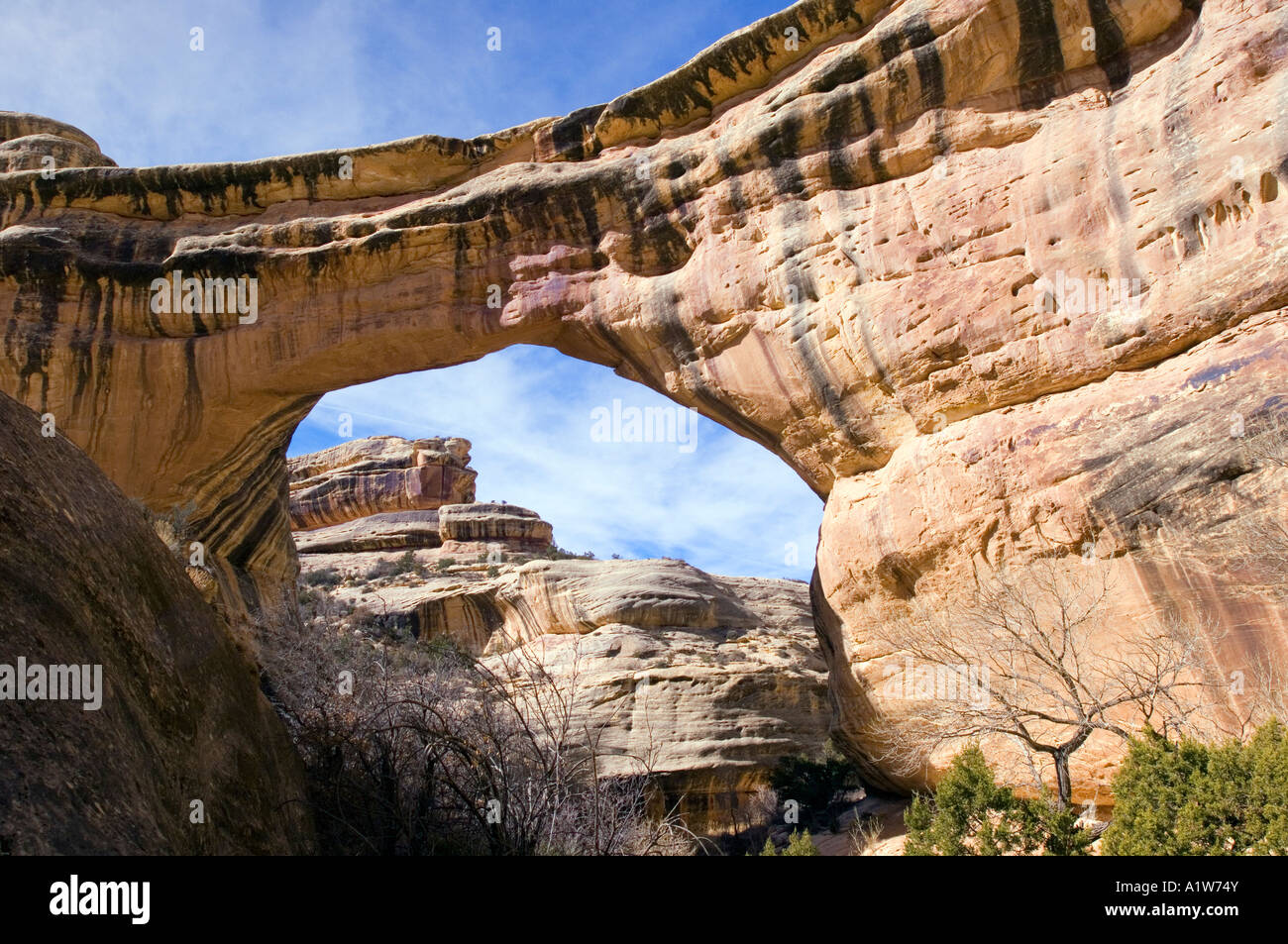 Sipapu Bridge arch Natural Bridges National Monument Utah USA Stock ...