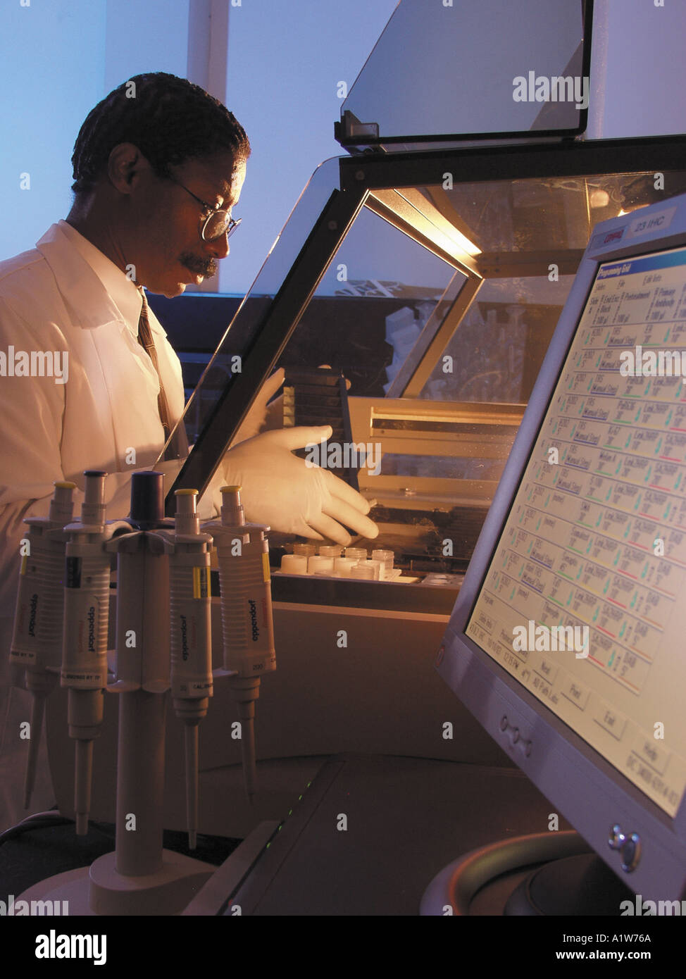 technician testing sample in a laminar flow hood Stock Photo - Alamy