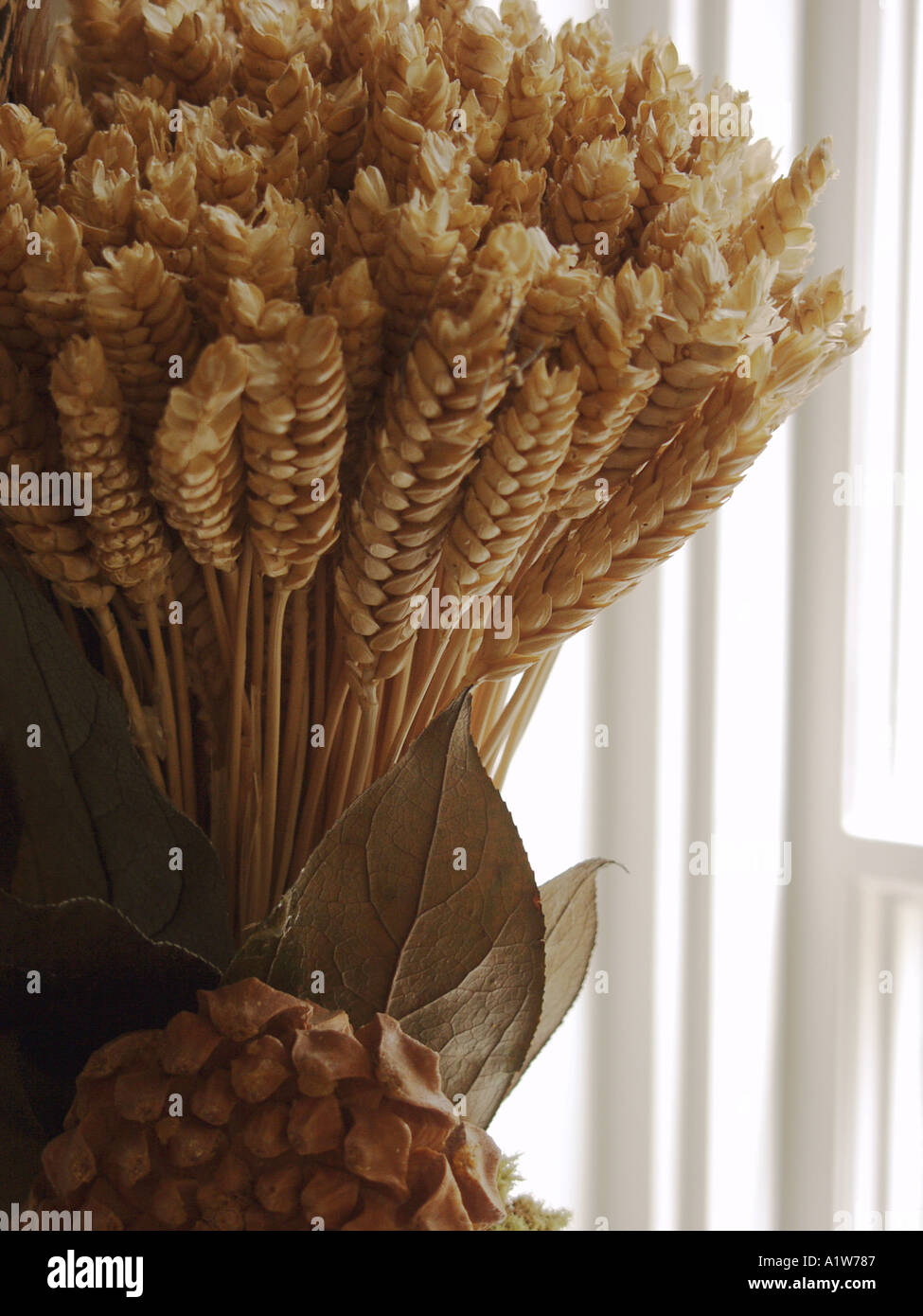 decorative wheat in vase on window sill Stock Photo - Alamy