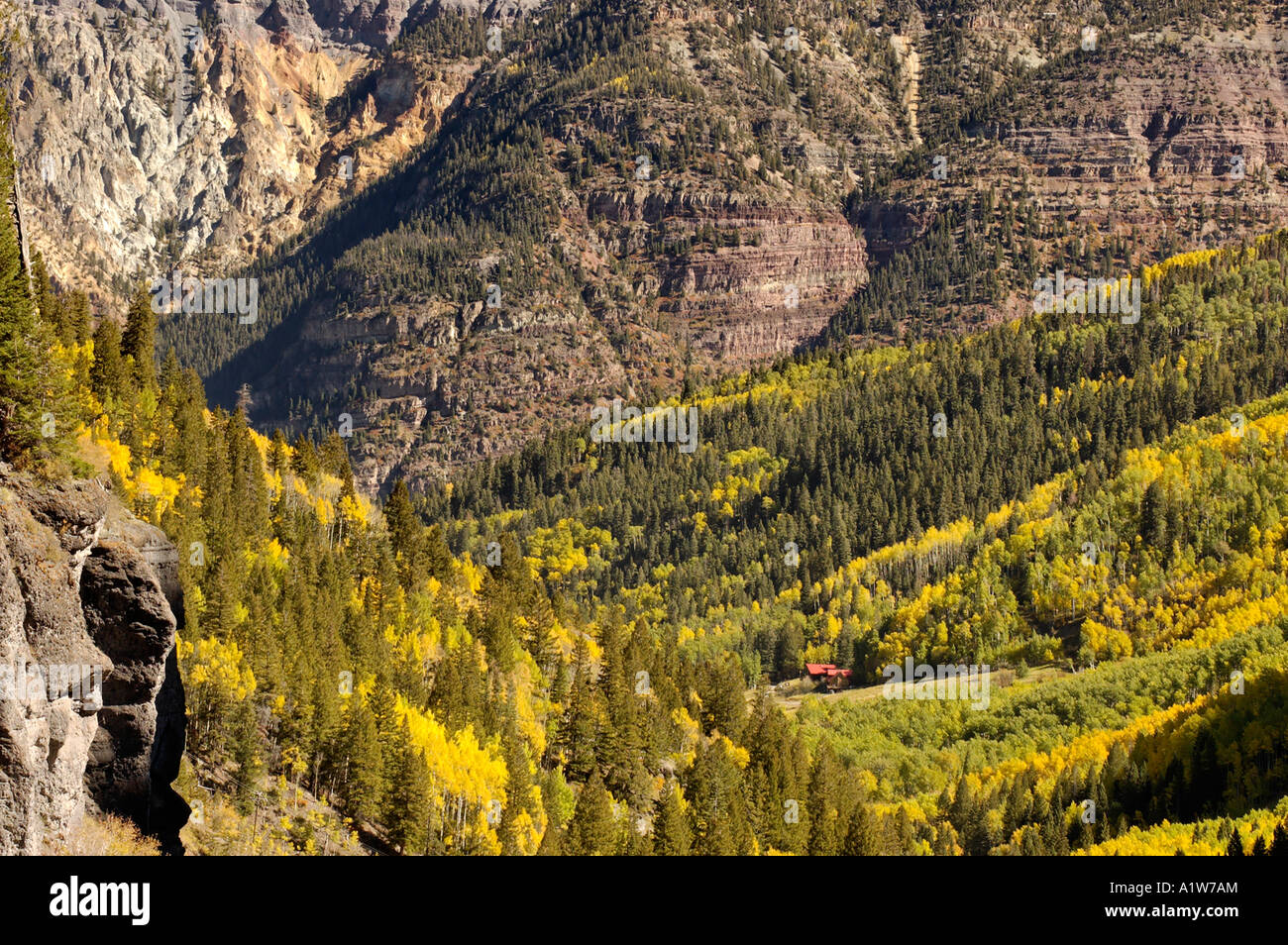 Isolated house in the forest in valley along Camp Bird Mine road near ...