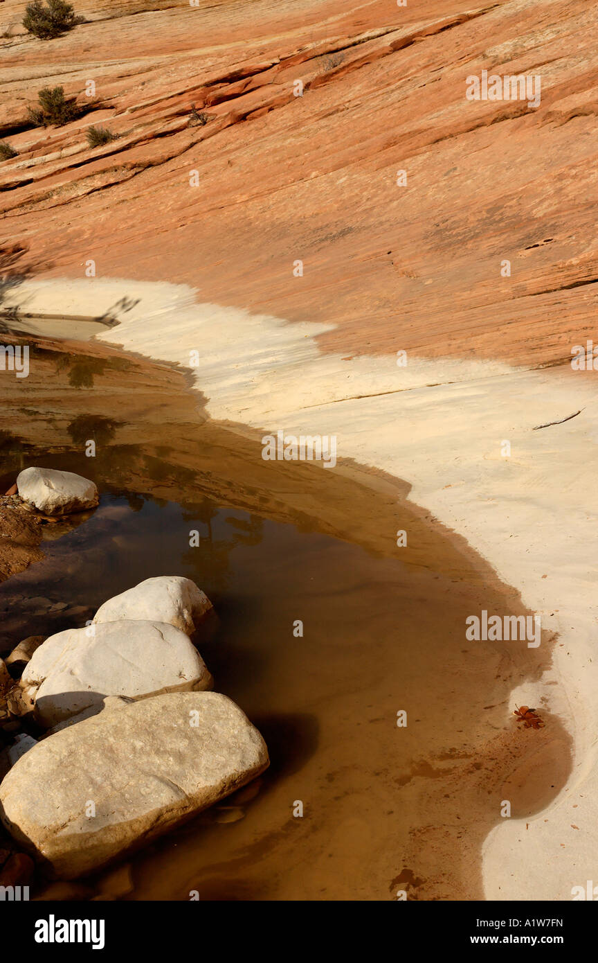 Rocks and water Zion National Park Springdale Utah USA Stock Photo - Alamy