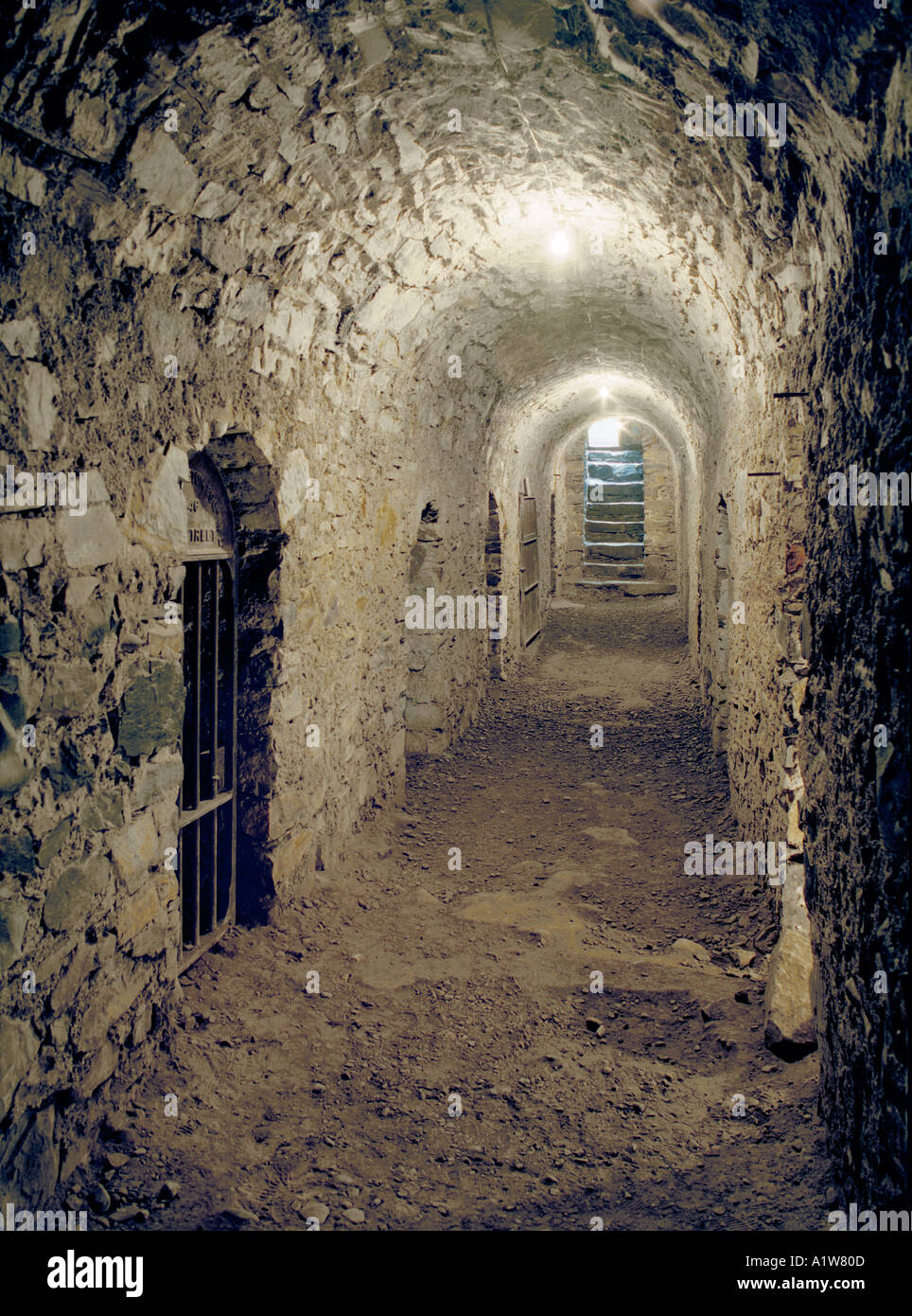 The crypt at St. Michan's Church, Dublin, Ireland, is famous for it's ...