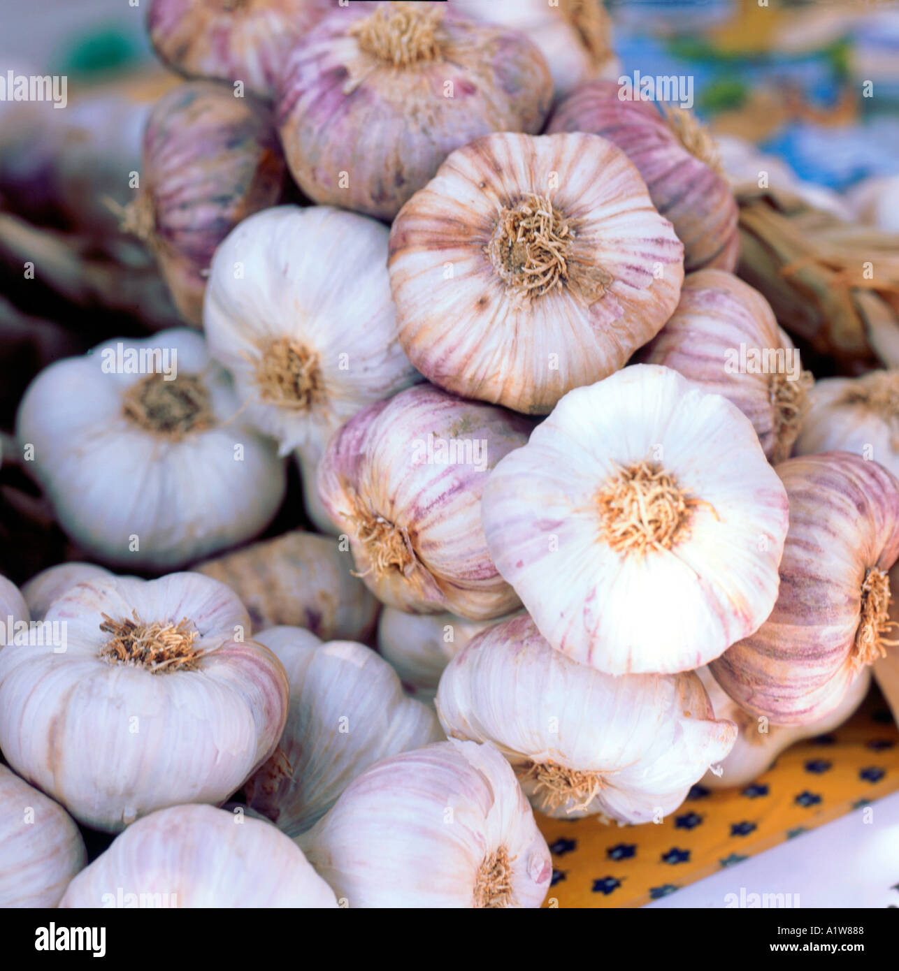 Strings of Garlic Stock Photo - Alamy