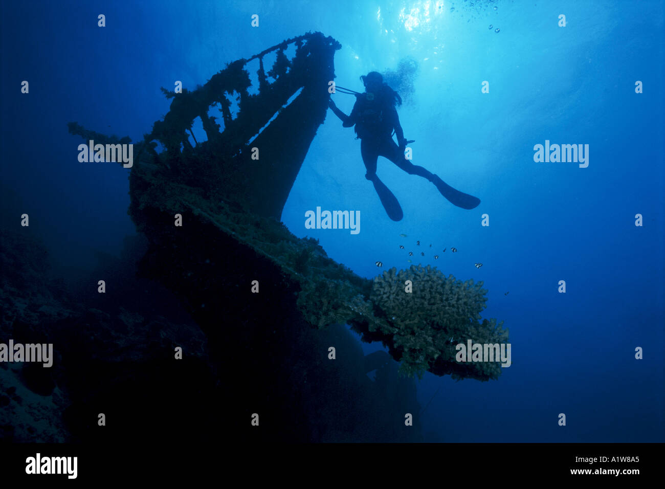 Jaluit hi-res stock photography and images - Alamy