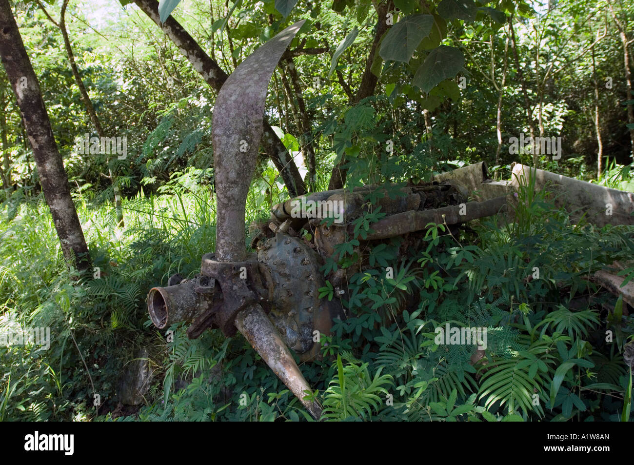 Japanese zero wreck on Palau south pacific Stock Photo - Alamy