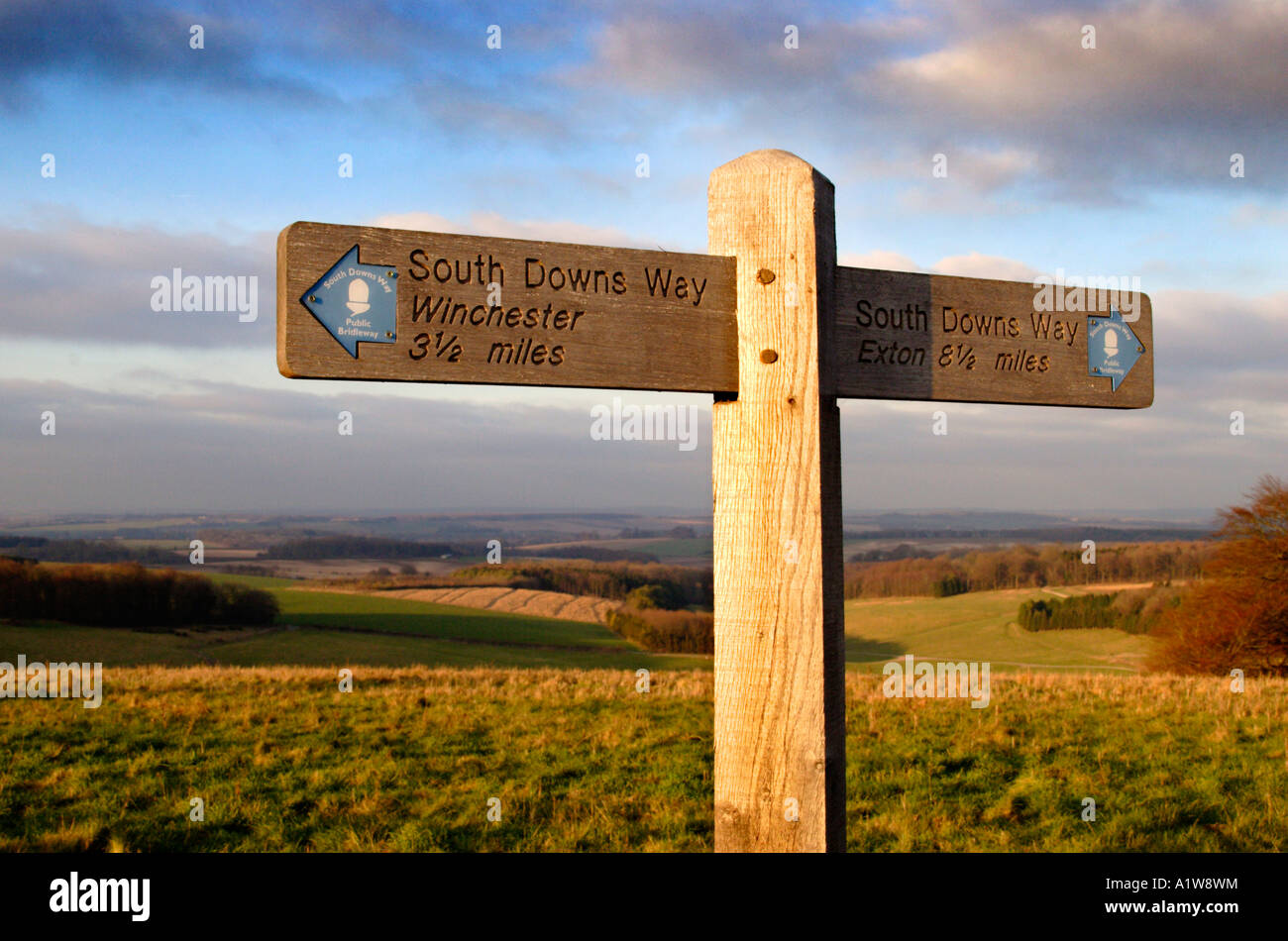 South Downs Way Signpost, Hampshire, England Stock Photo - Alamy