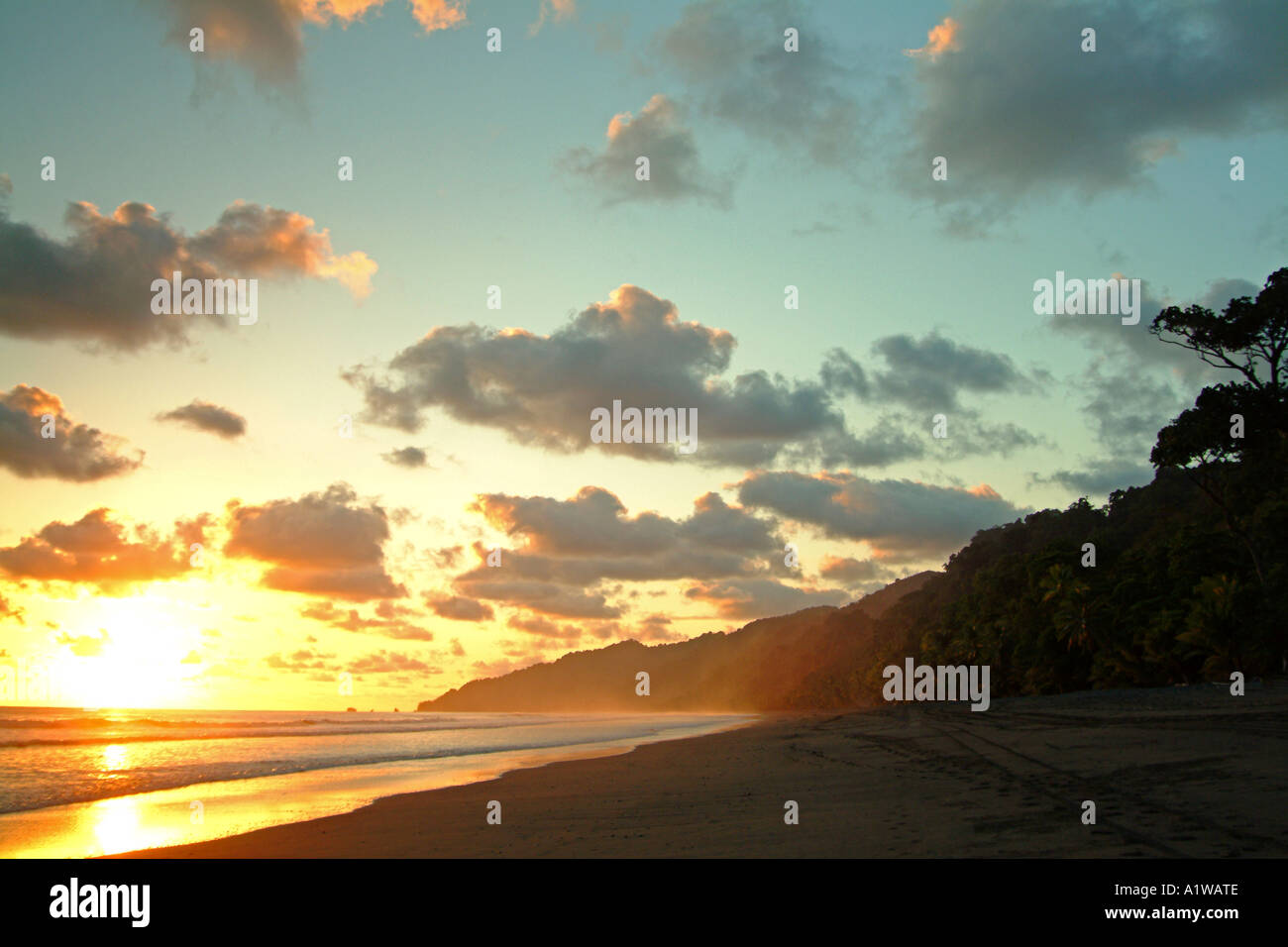Tropical beach at sunset Stock Photo - Alamy