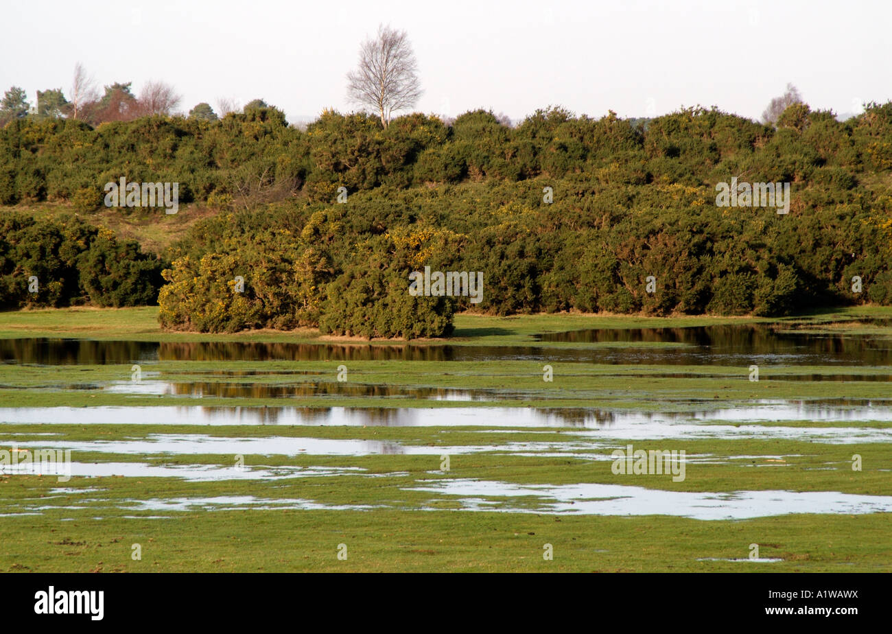 Waterlogged ground An area of water saturated countryside following ...