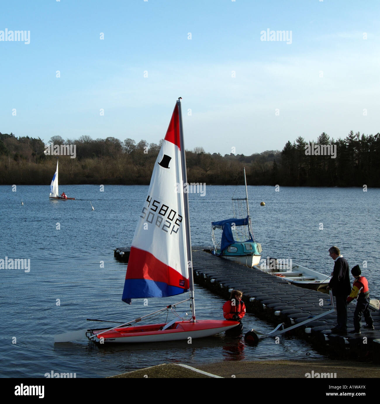 Dingy forest hi-res stock photography and images - Alamy