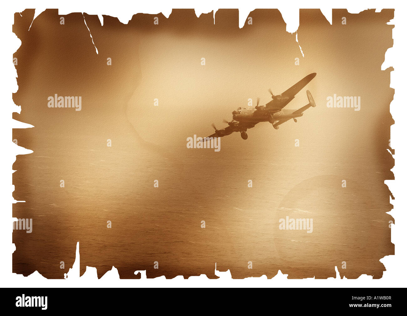 Wings tails Cut Out Stock Images & Pictures - Alamy