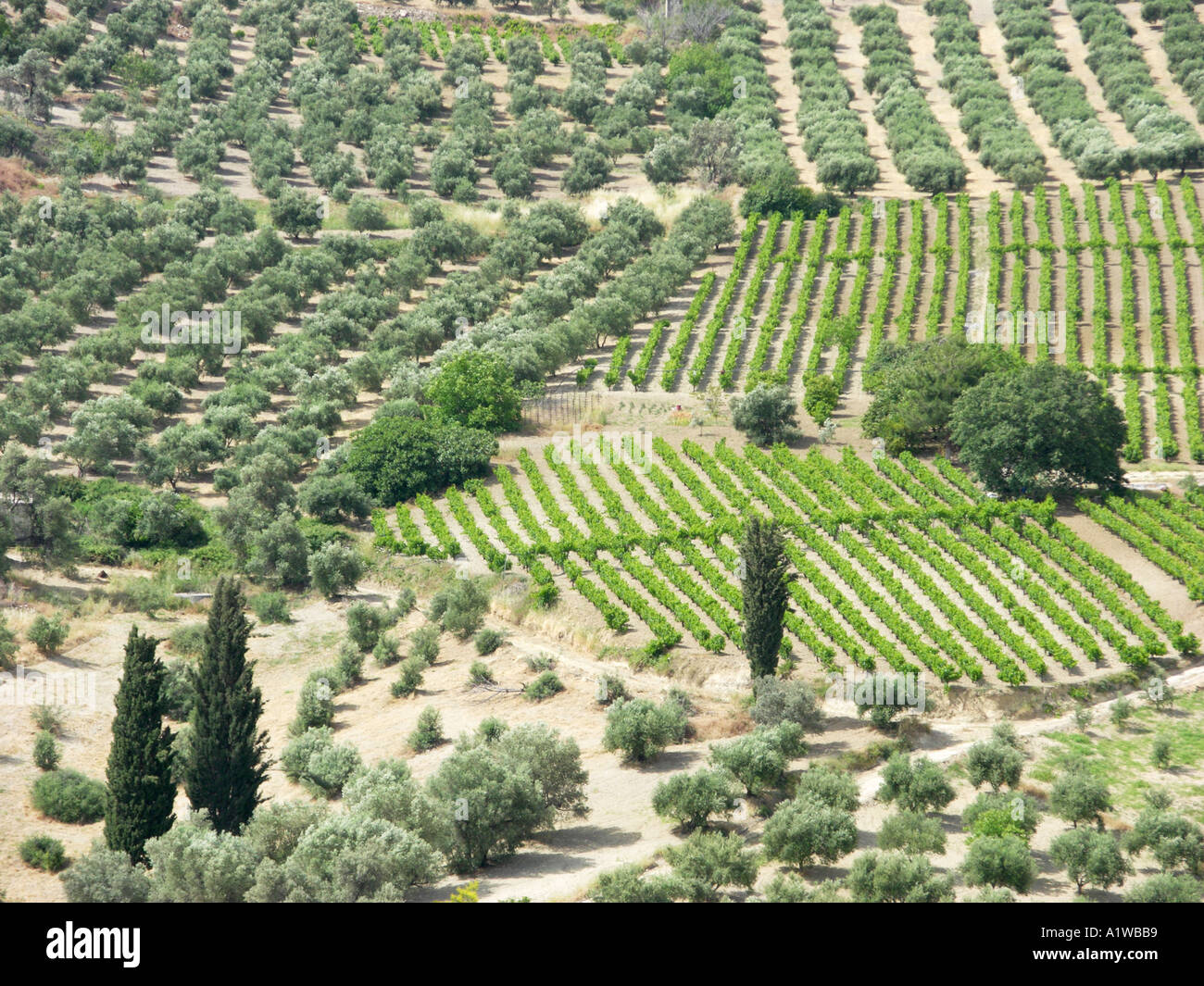Cretian culture hi-res stock photography and images - Alamy