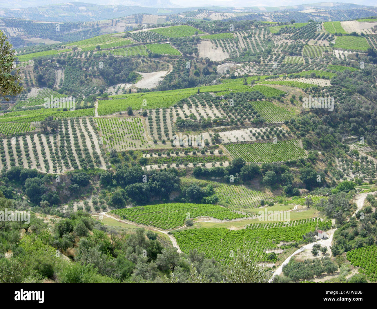 Cretian culture hi-res stock photography and images - Alamy