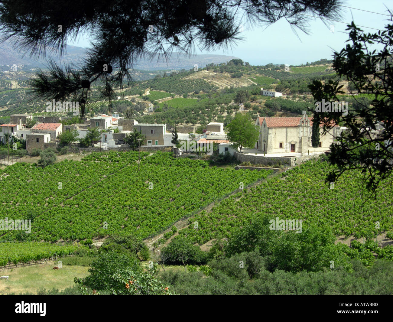 Cretian culture hi-res stock photography and images - Alamy