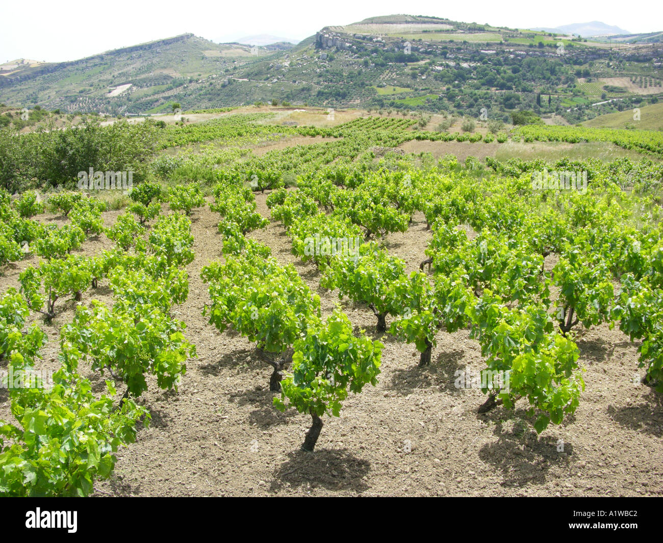 Cretian culture hi-res stock photography and images - Alamy