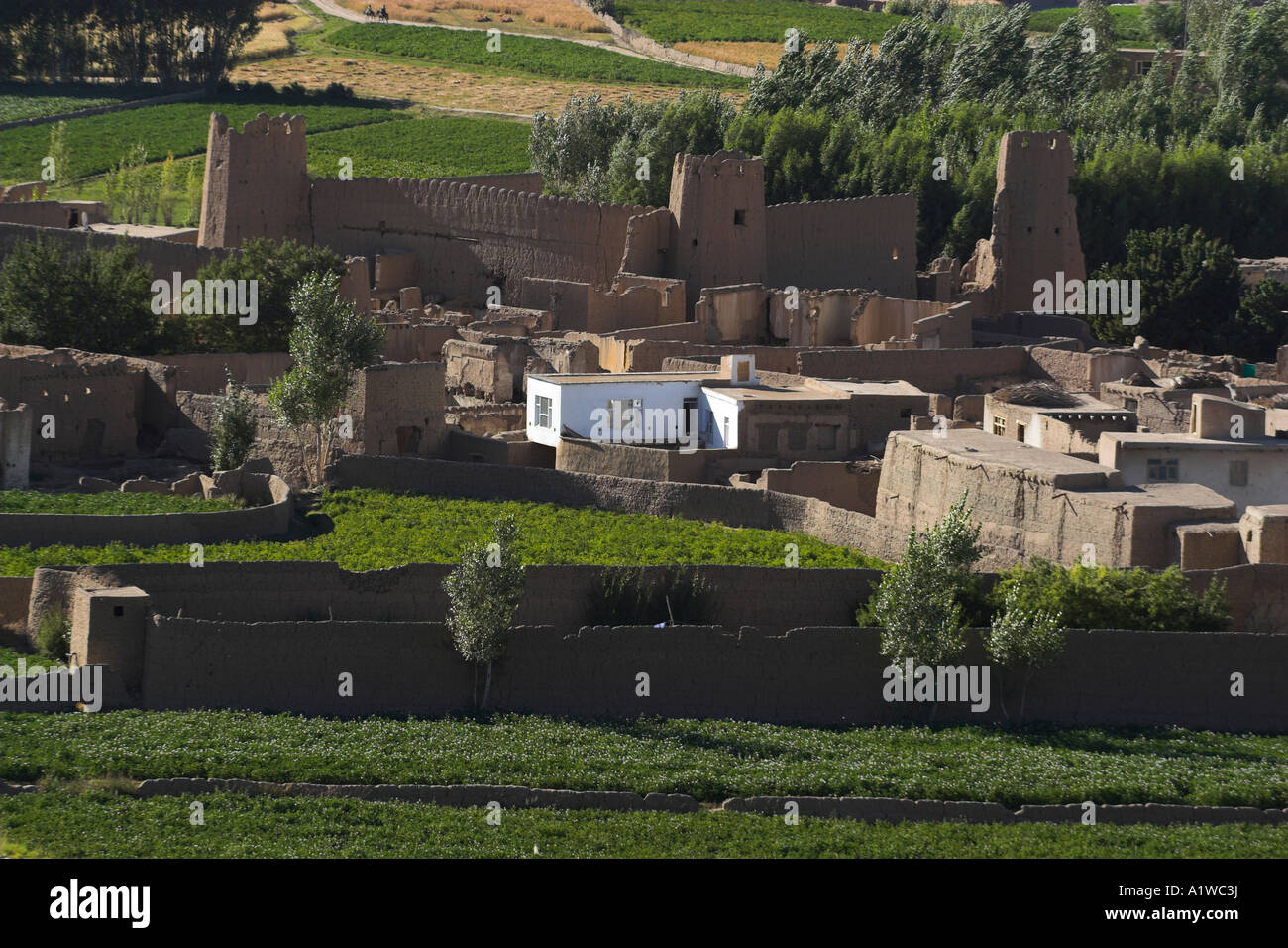 AFGHANISTAN Bamiyan Province Bamiyan Village at base of cliffs near ...